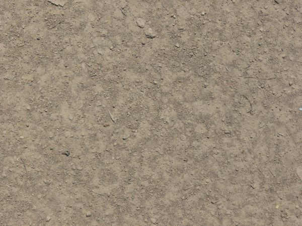 rough ground surface 0025 - Texturelib